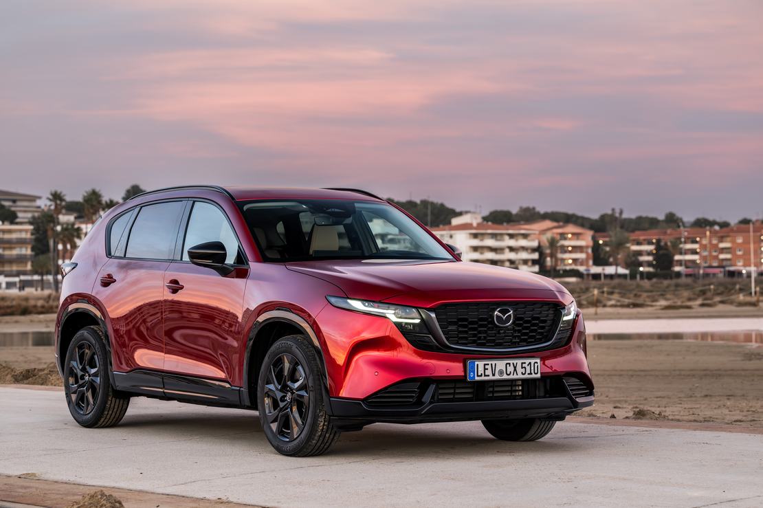 Nem kell minden csatát megvívni | Totalcar